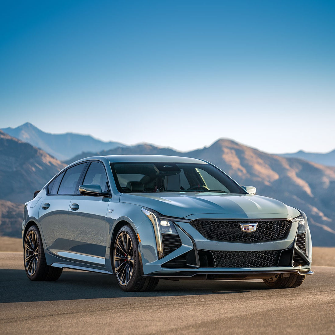 Crest Performance Dynamics – Crest Performance Dynamics